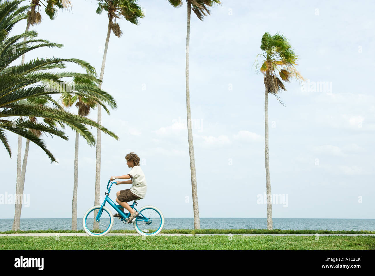 Boy riding bicycle beside palm trees, side view Stock Photo - Alamy