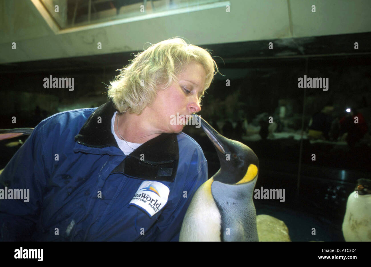 Seaworld orlando family hi-res stock photography and images - Alamy