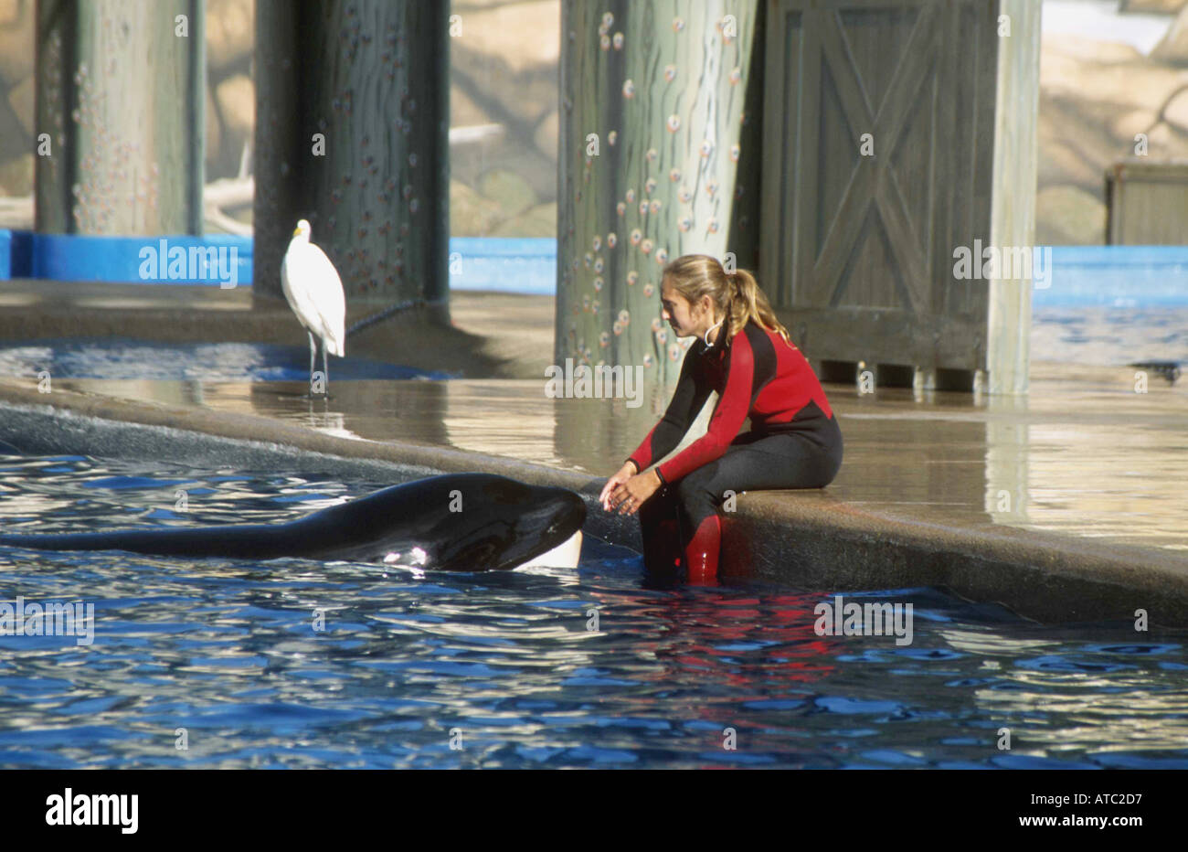 Seaworld orlando aquarium hi-res stock photography and images - Alamy