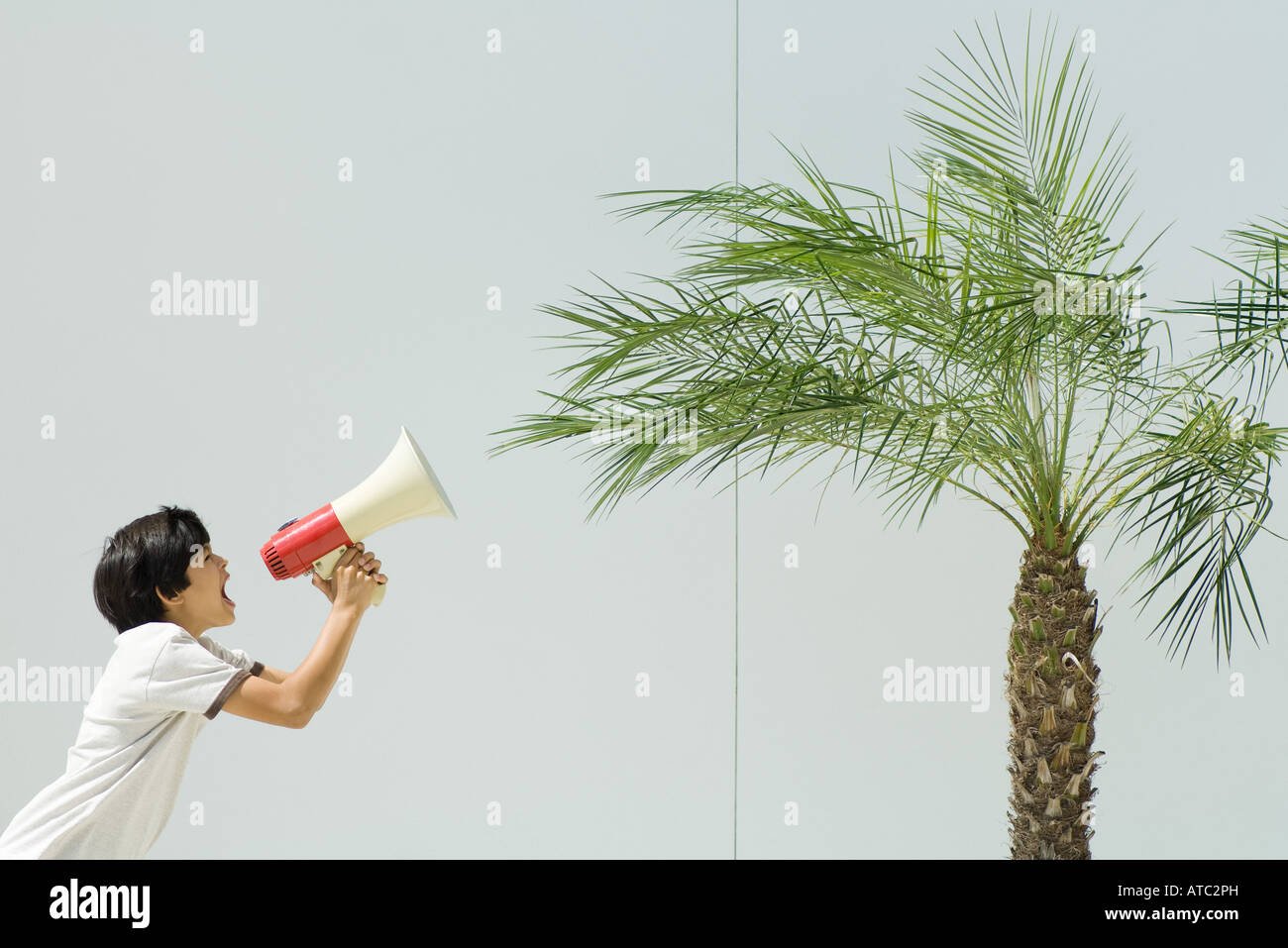 Boy yelling palm tree megaphone hi-res stock photography and images - Alamy