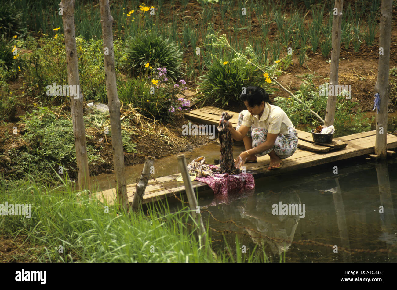 Burma Myanmar Inle Lake Portrait Of A Woman Washing Her Clothes In Pond ...