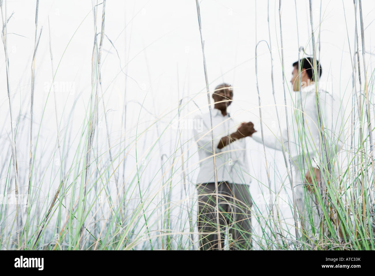 Two men shaking hands outdoors, low angle view through tall grass Stock ...