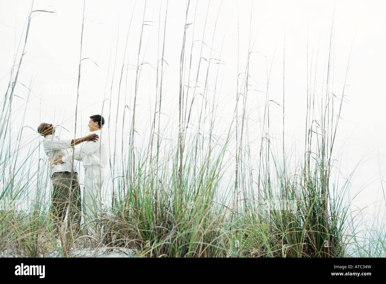 Two men embracing outdoors, low angle view through tall grass Stock ...