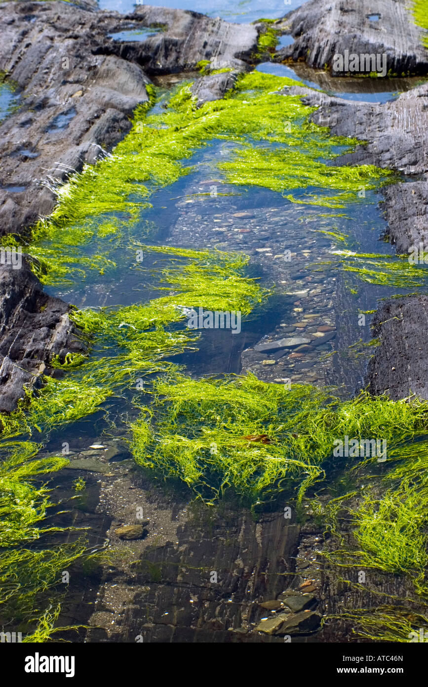St barnabe island hi-res stock photography and images - Alamy