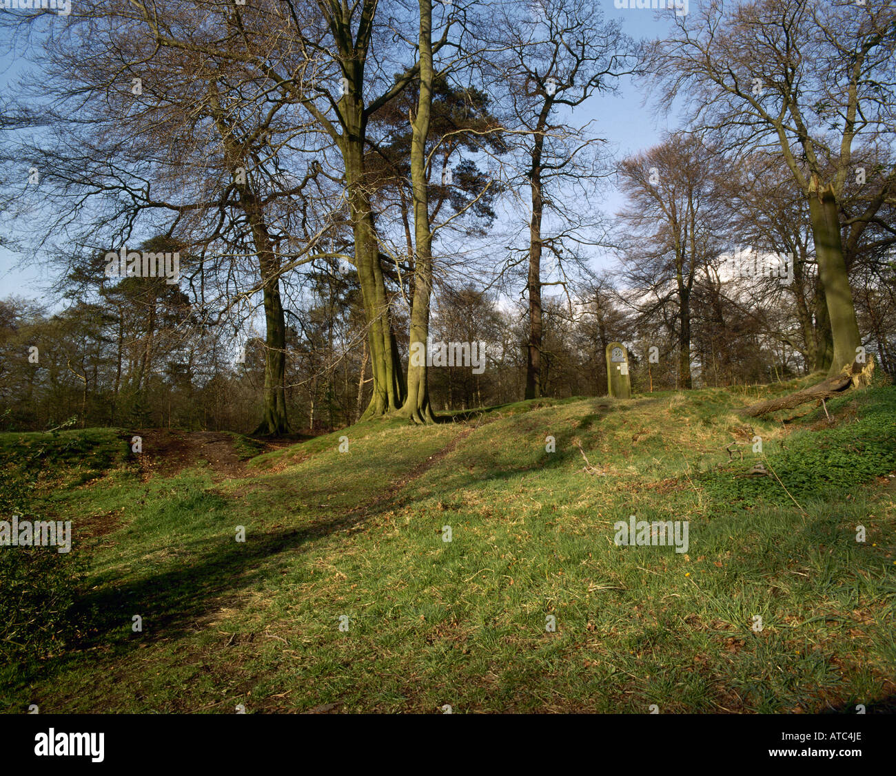 In alderley edge hi-res stock photography and images - Alamy