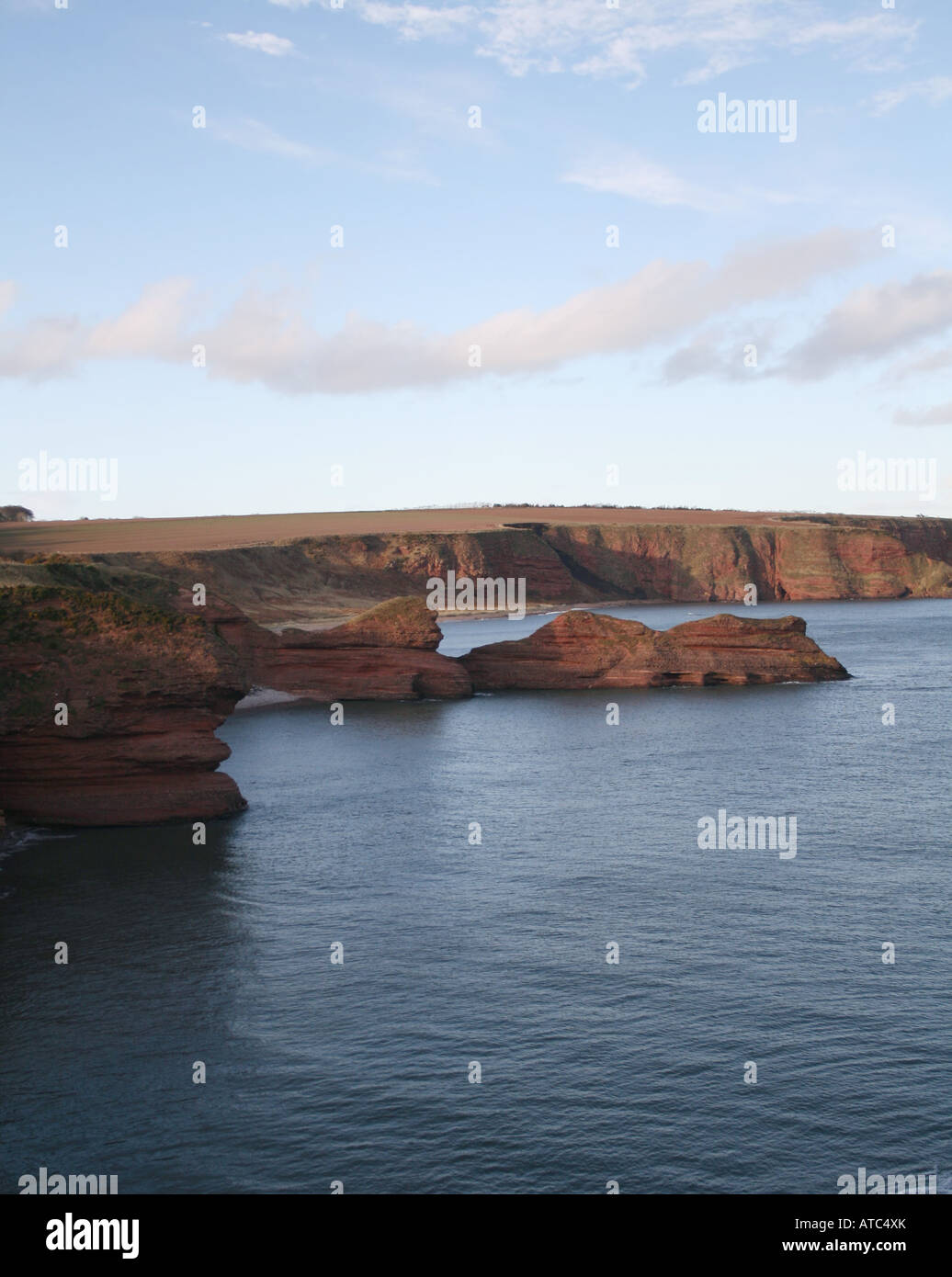 red sandstone Seaton cliffs Angus Scotland February 2008 Stock Photo ...