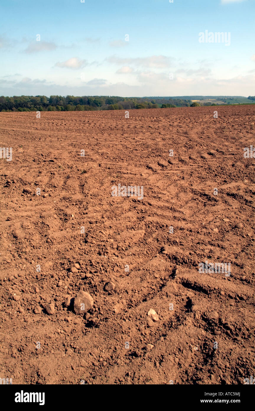 bare field empty soil earth ground farm land Stock Photo - Alamy