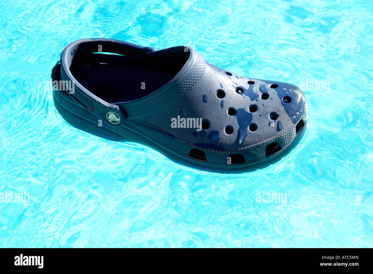 single rightfoot croc floating in blue swimming pool summer holiday ...