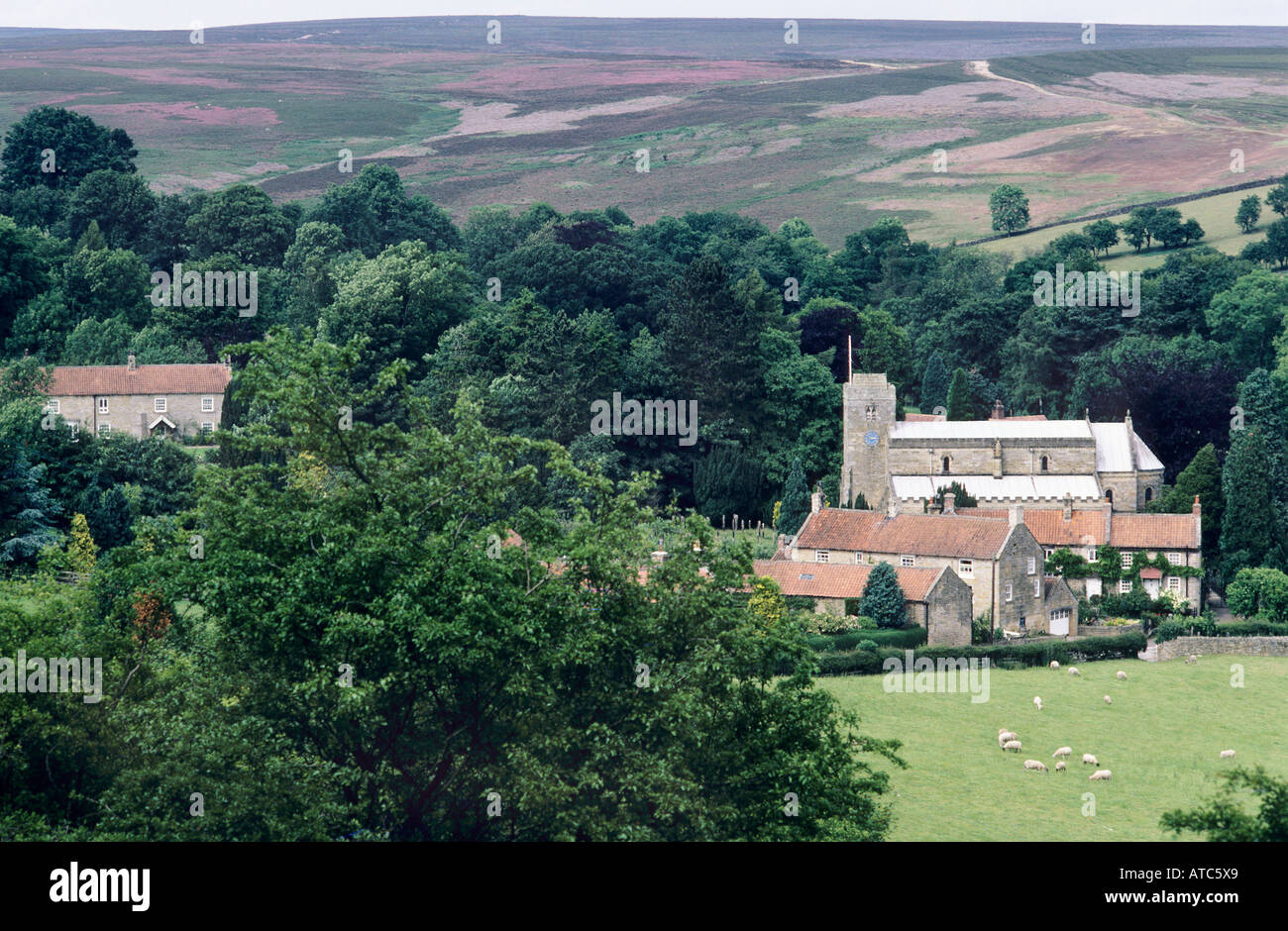 A view across tree the village of Lastingham note the Church of St Mary ...