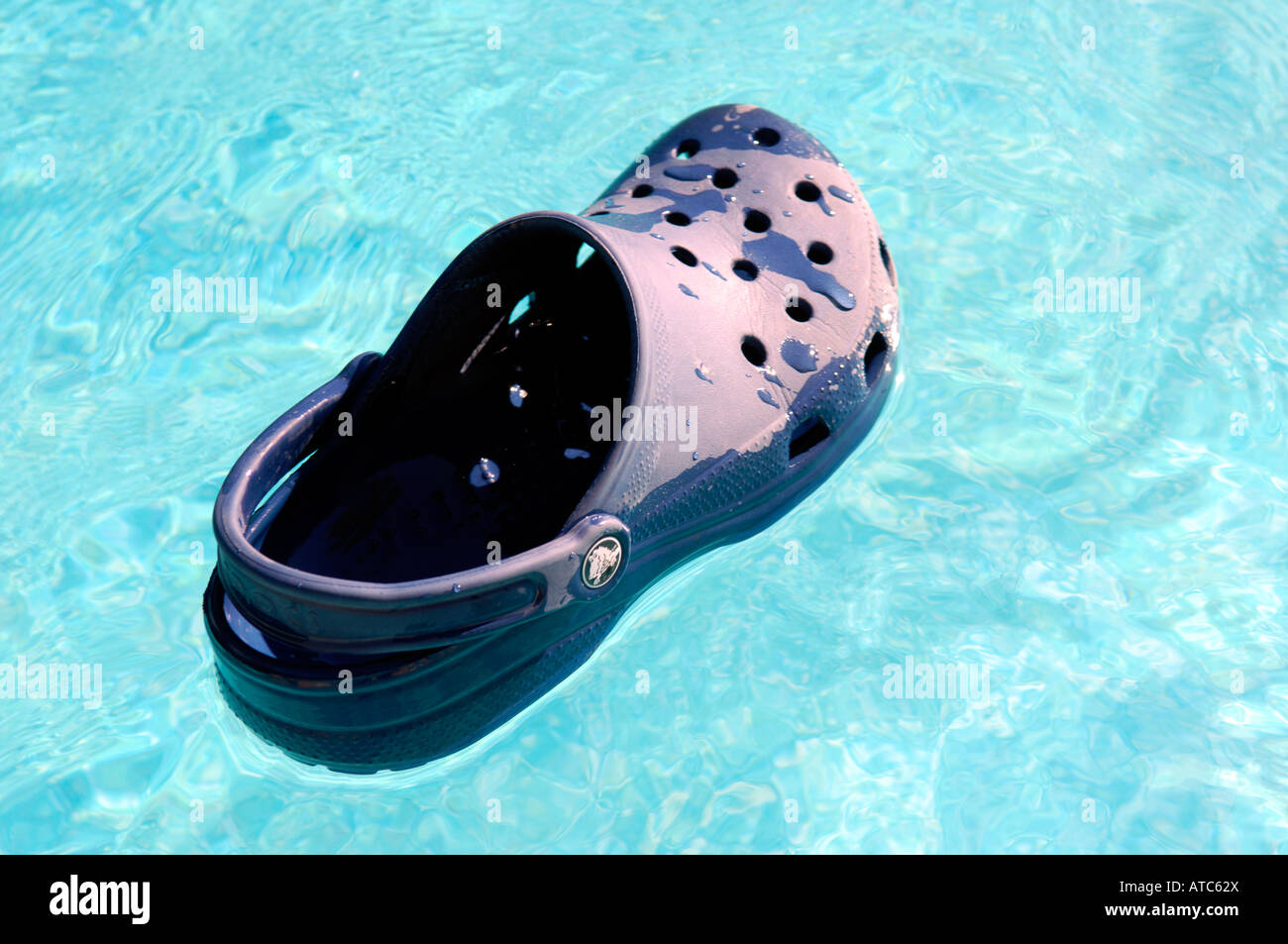 single rightfoot croc floating in blue swimming pool summer holiday ...