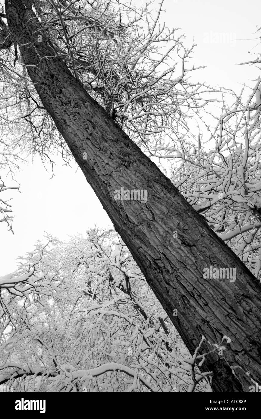 Rising snow Black and White Stock Photos & Images - Alamy