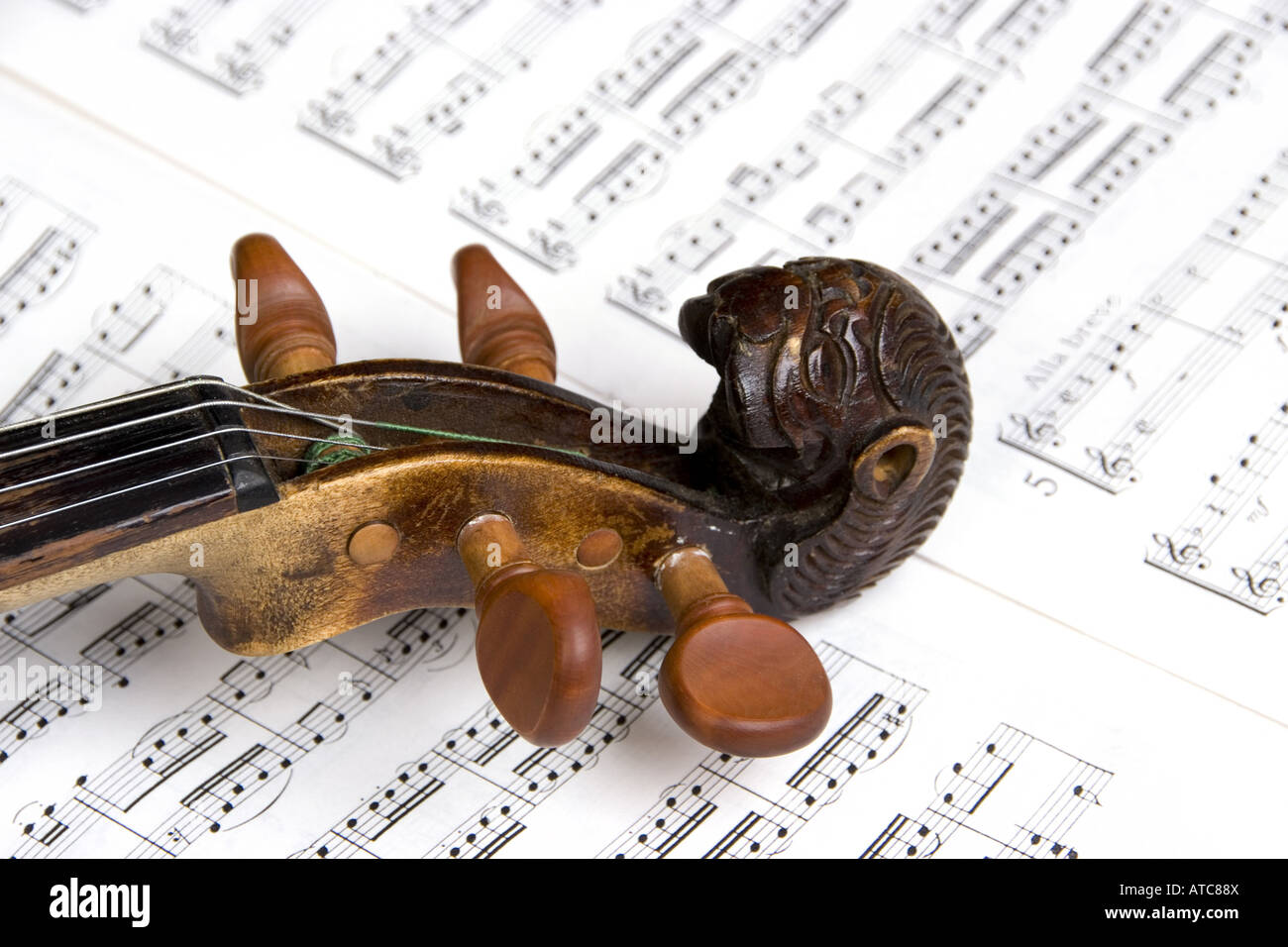 violin detail, pegbox and scroll Stock Photo - Alamy