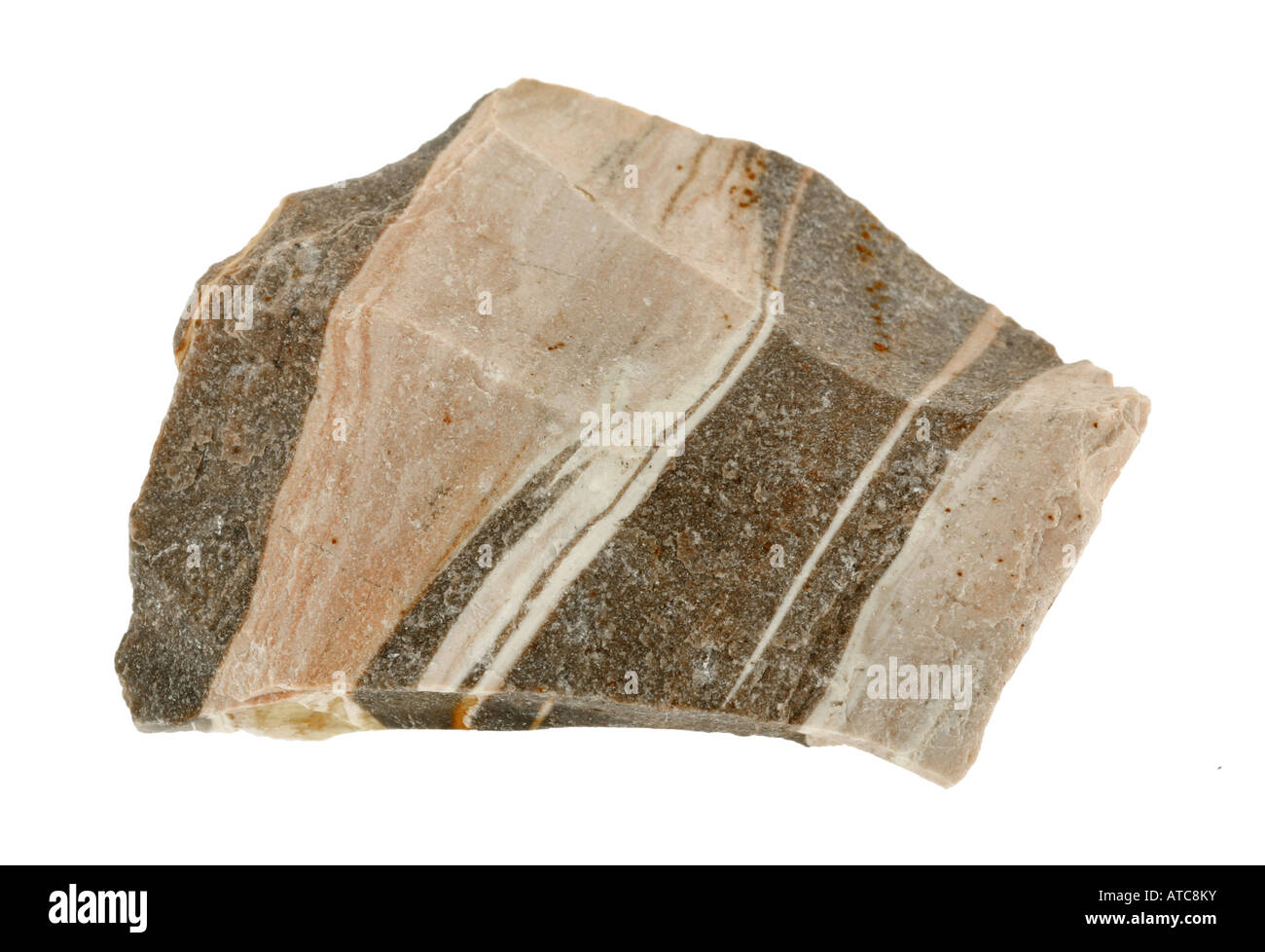 Zebra jasper hi-res stock photography and images - Alamy