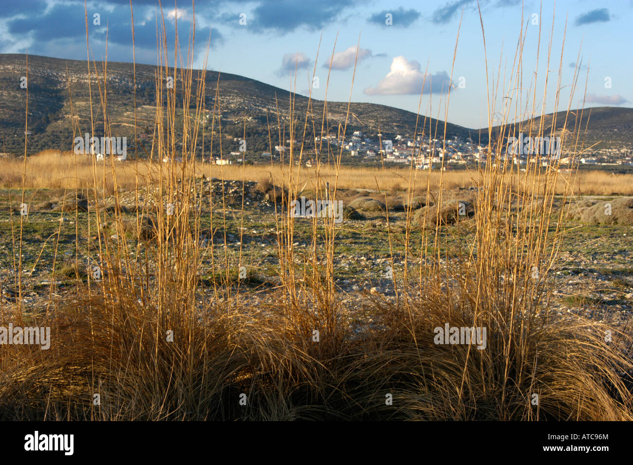 Samos island greece countryside hi-res stock photography and images - Alamy