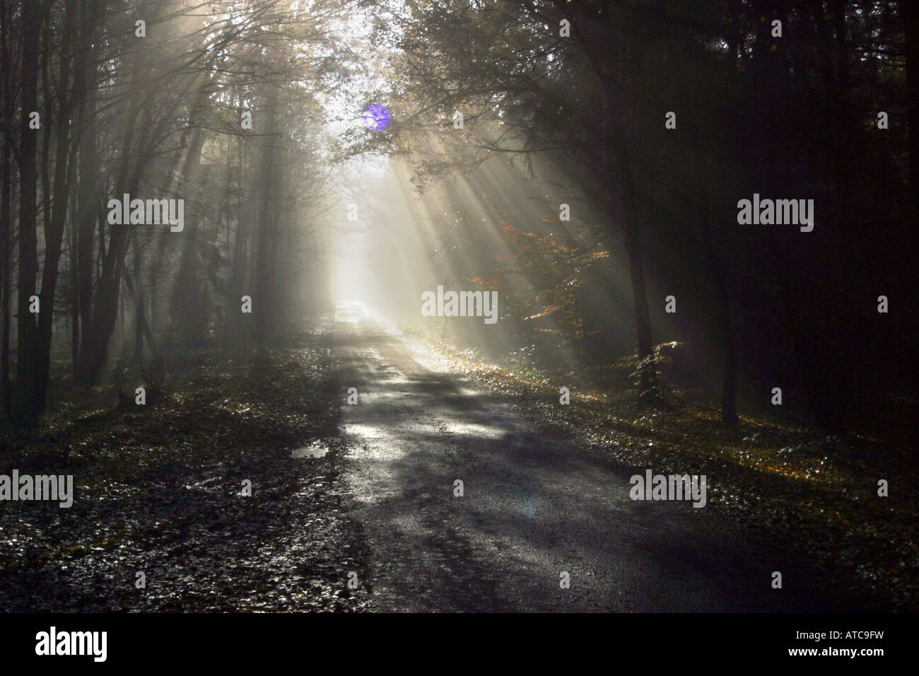 Sunshine between silhouettes hi-res stock photography and images - Alamy