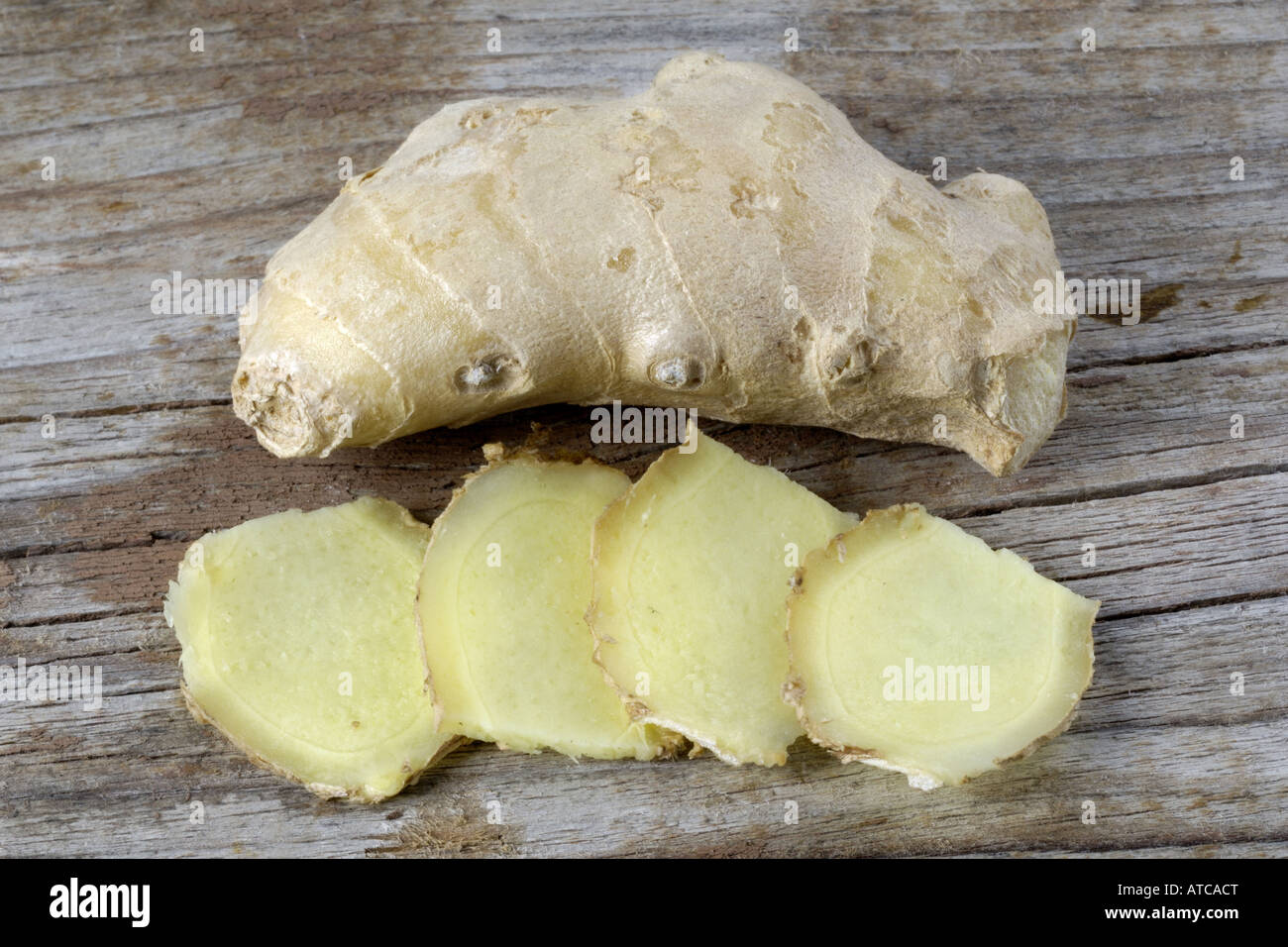 ginger, common ginger, cooking ginger, Canton ginger (Zingiber ...