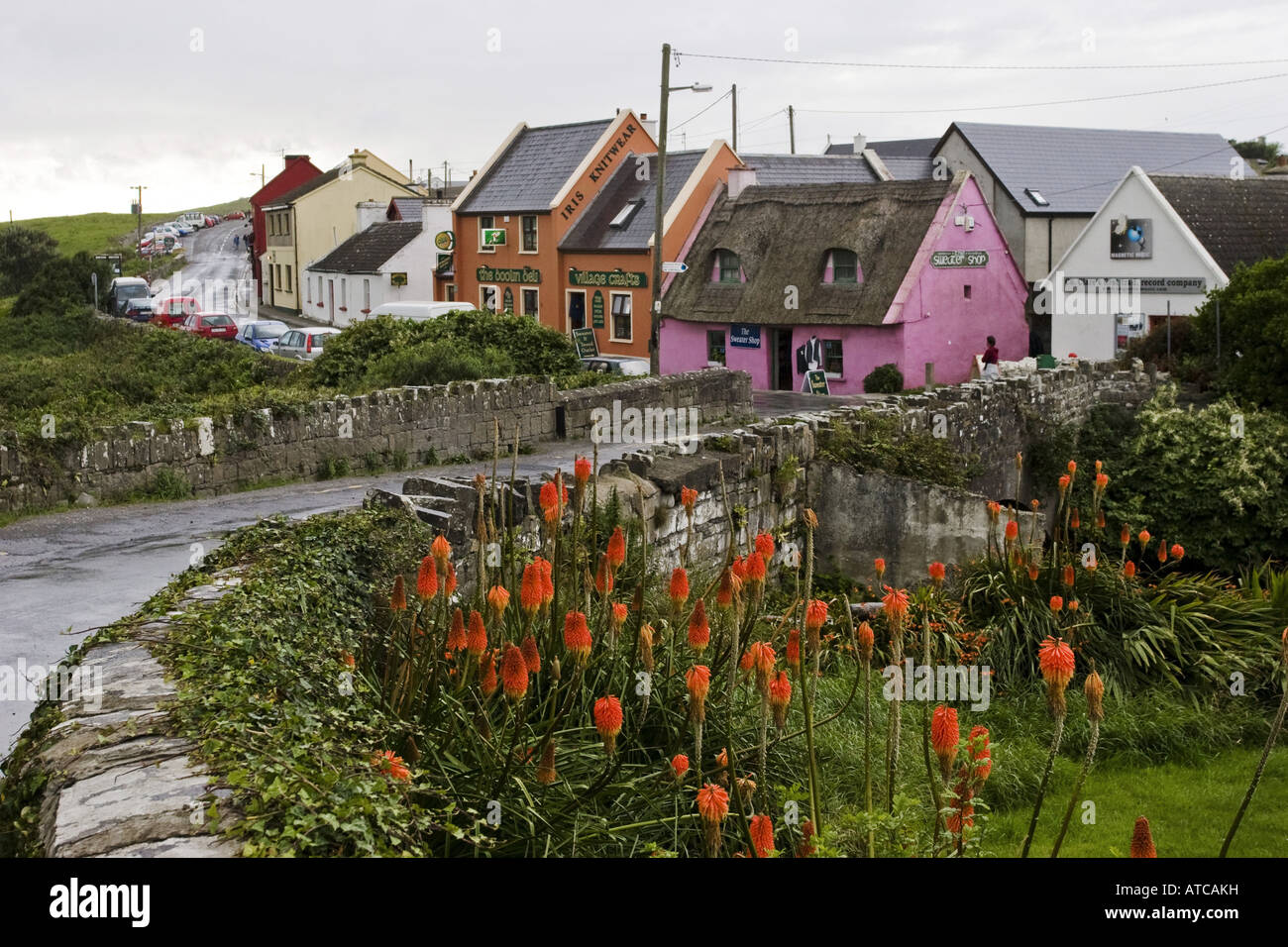 torch lily hybrid, red-hot poker hybrid (Kniphofia Hybrid), Doolun ...