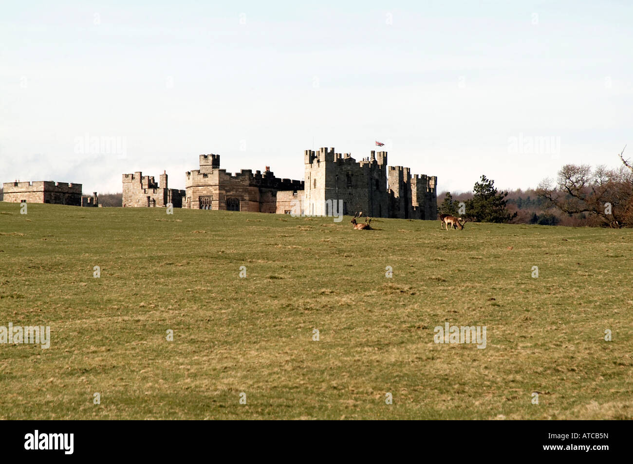 Rady castle near Darlington Stock Photo - Alamy