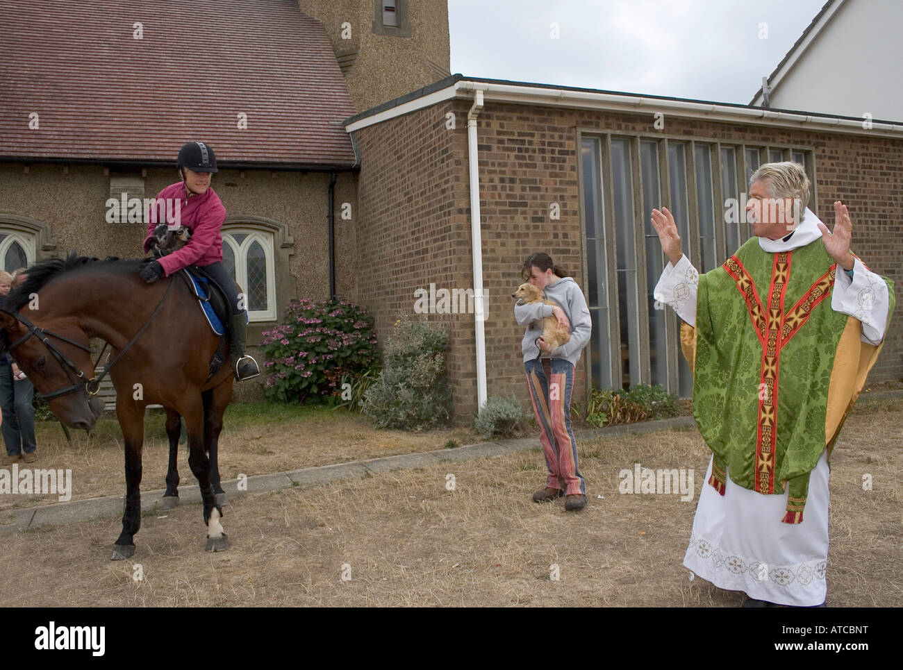 Vicar blessing horse outside church in west sussex Stock Photo - Alamy