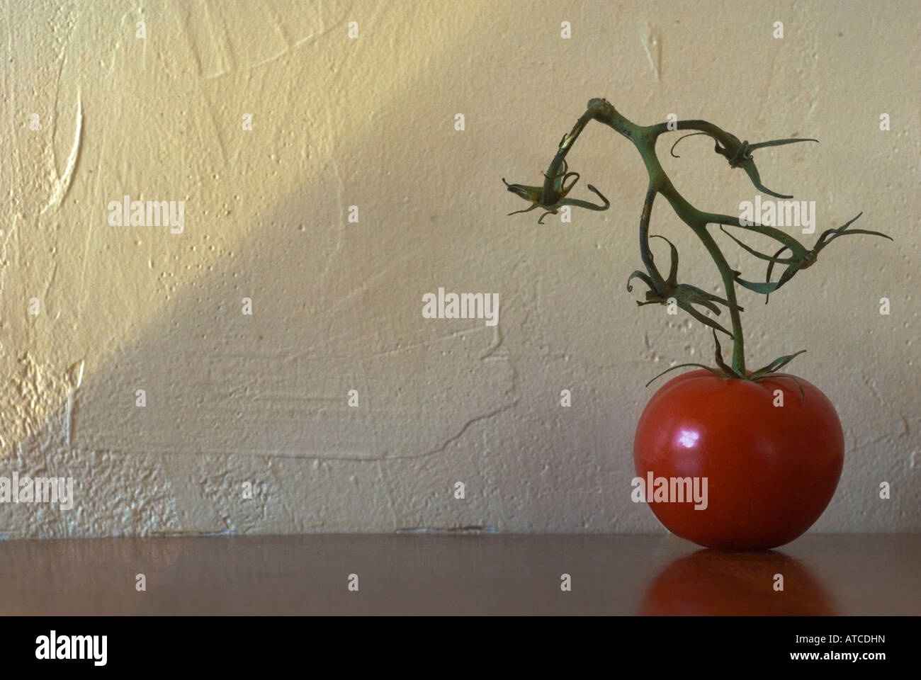 Vine tomato with long stem Stock Photo - Alamy