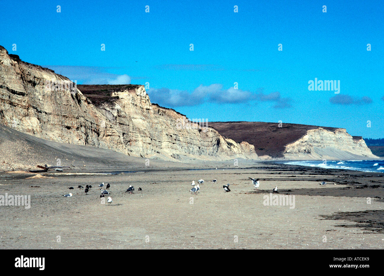 Drakes Beach Point Reyes National Seashore Marin County California USA ...