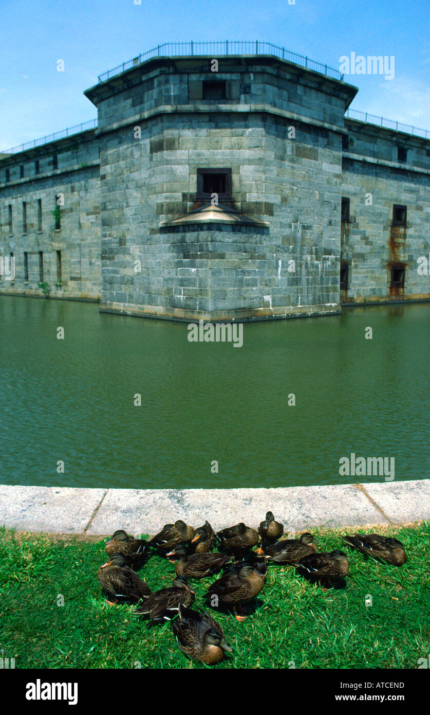 Ducks resting Fort Delaware State Park Pea Patch Island Delaware River ...