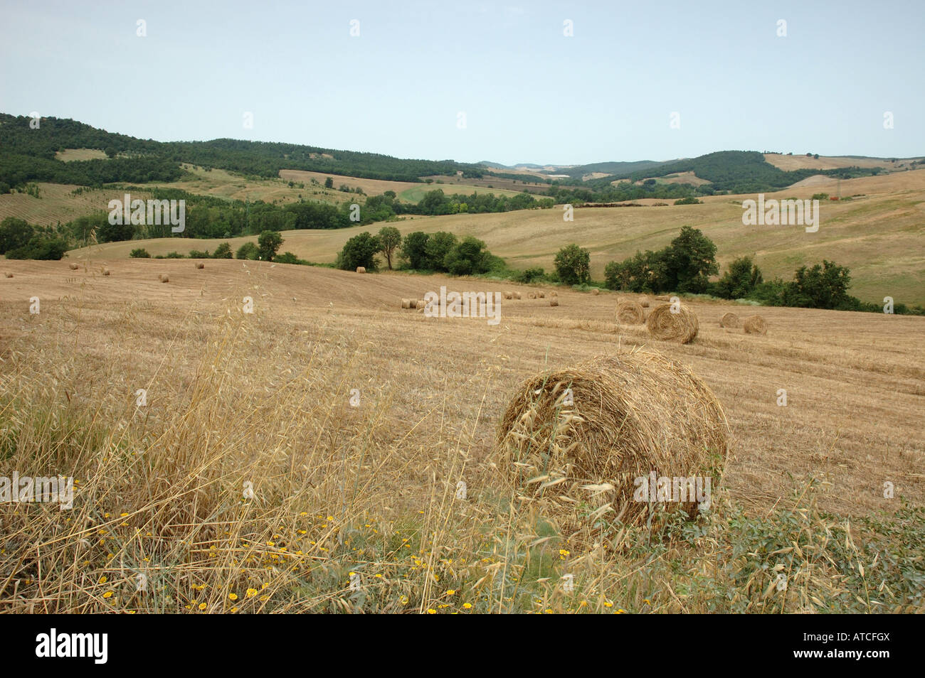 Italian field hi-res stock photography and images - Alamy