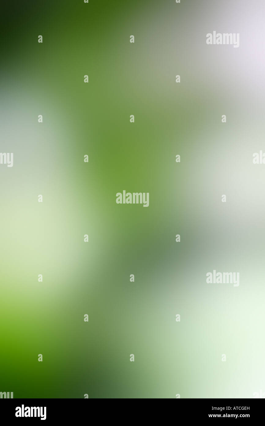 Green diffused background hi-res stock photography and images - Alamy