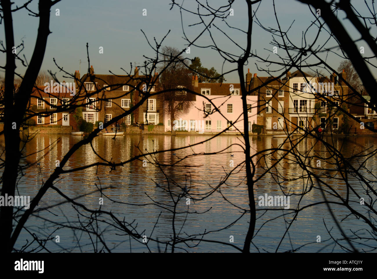 Strand on the Green and the River Thames viewed through branches London ...