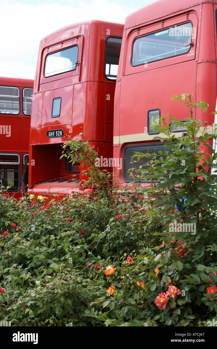 Retired buses hi-res stock photography and images - Alamy