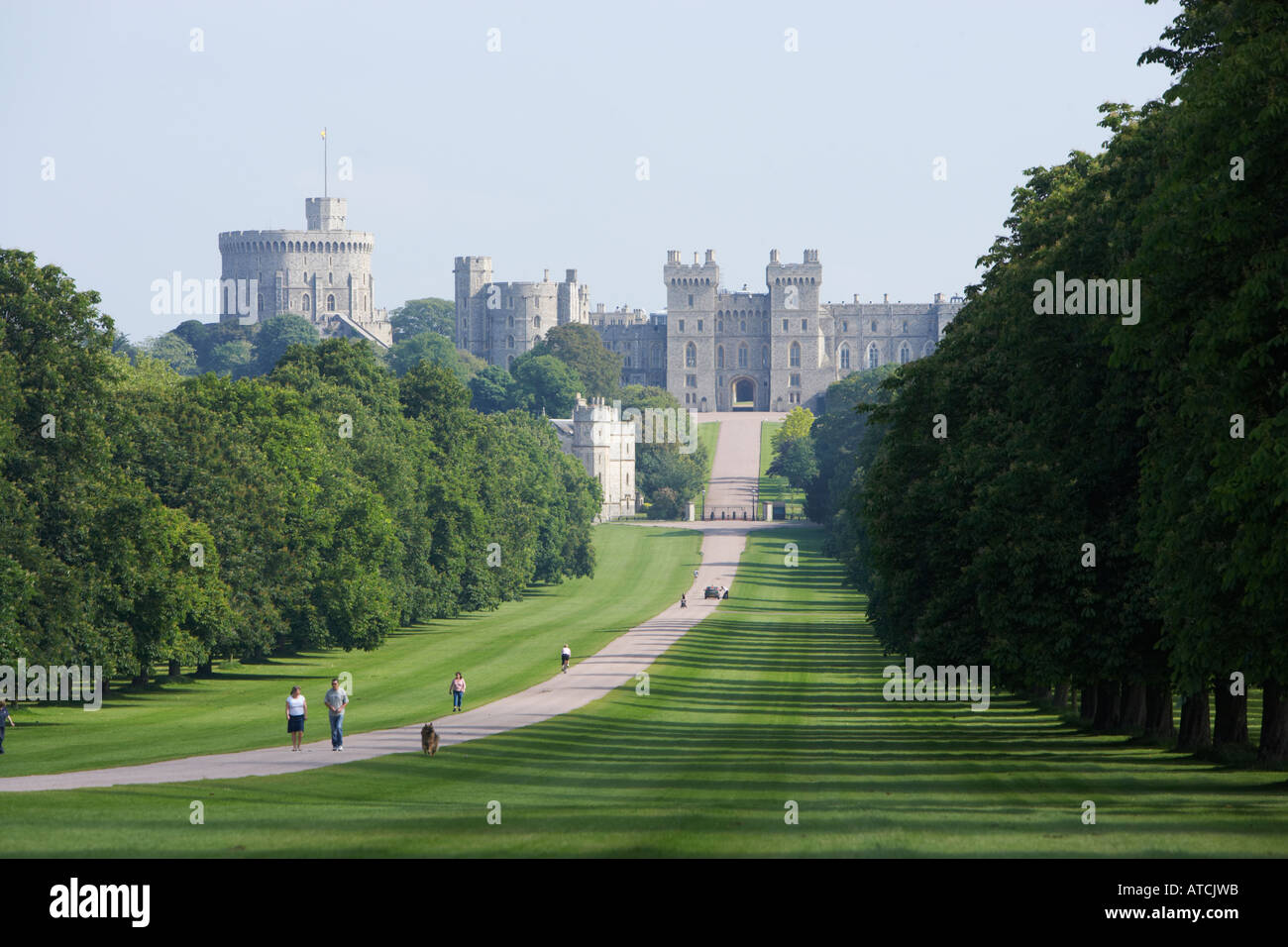 Summer windsor great park hi-res stock photography and images - Alamy