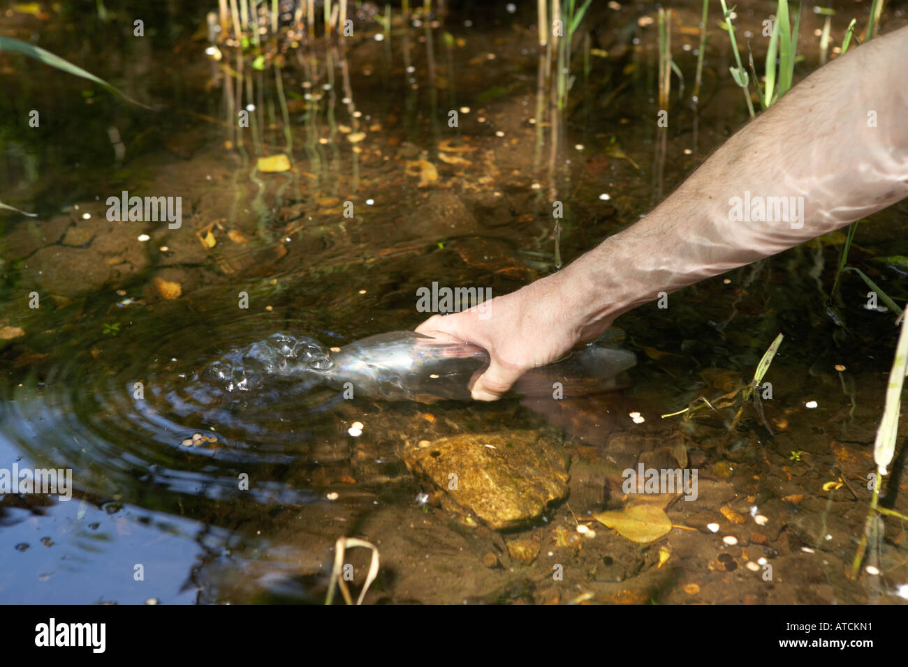 Collecting sample from river hi-res stock photography and images - Alamy