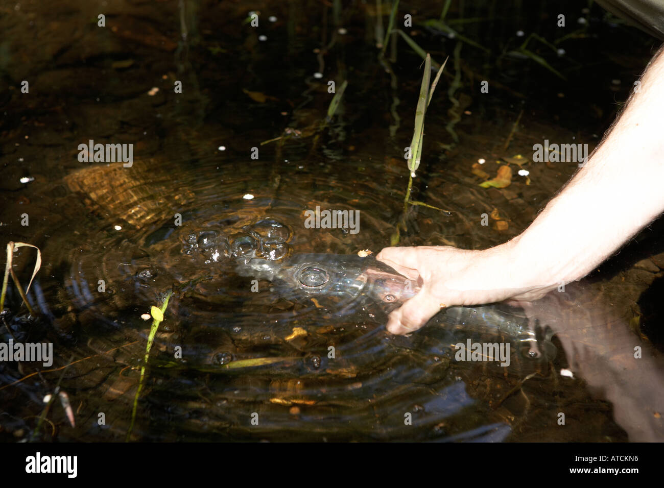 Collecting sample from river hi-res stock photography and images - Alamy