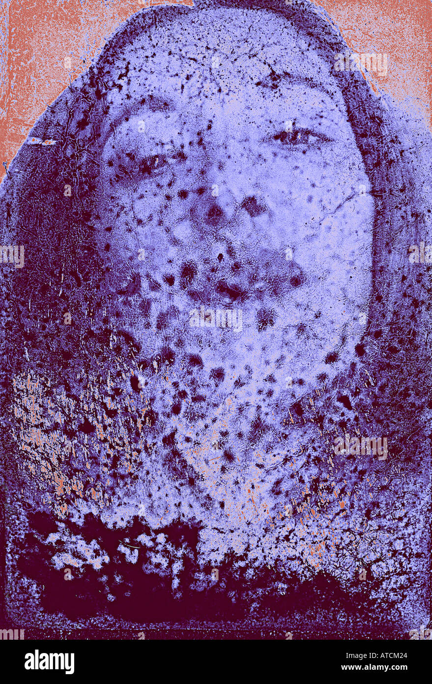 Disfigured face hi-res stock photography and images - Alamy