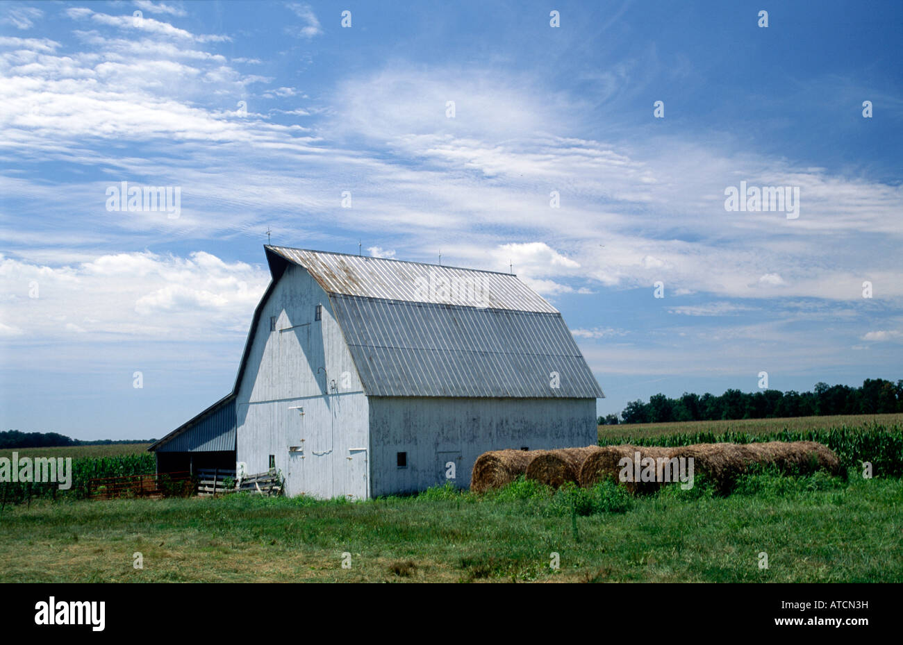 Dutch Style barn Kentucky in field of maize with big round bales ...
