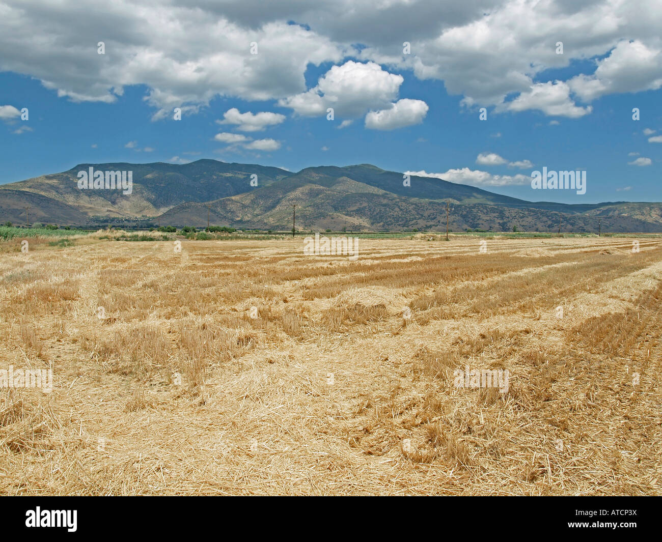 landscape with dried up field and mountains under blue cloudy sky in ...