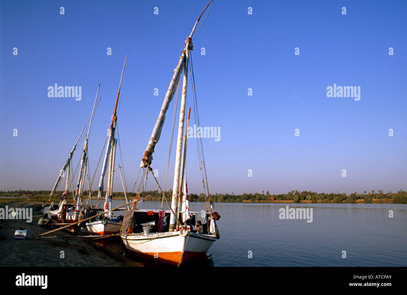 traditional feluccas parked on the riverside of the Nile Egypt Stock ...