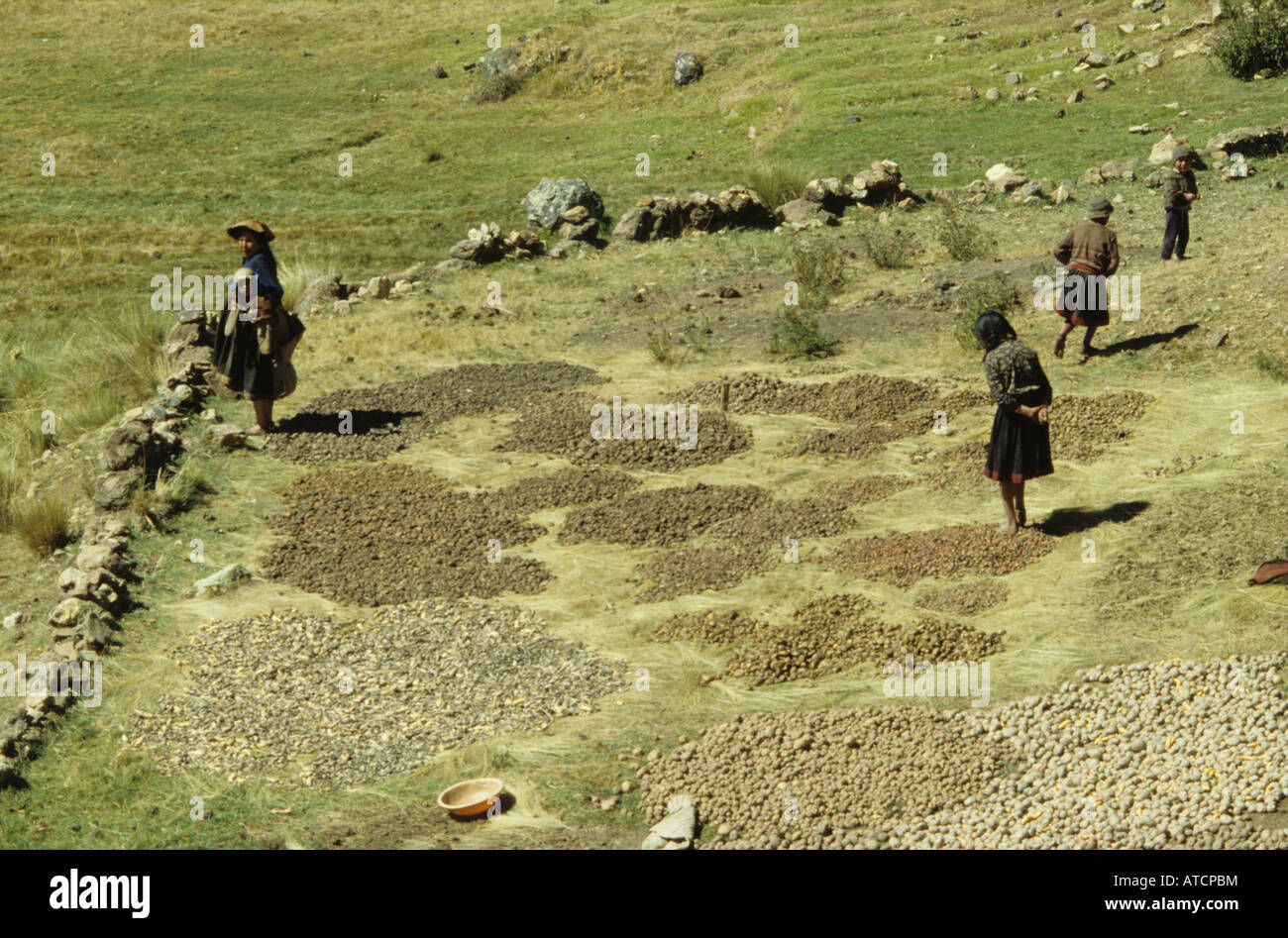 Chuno hi-res stock photography and images - Alamy