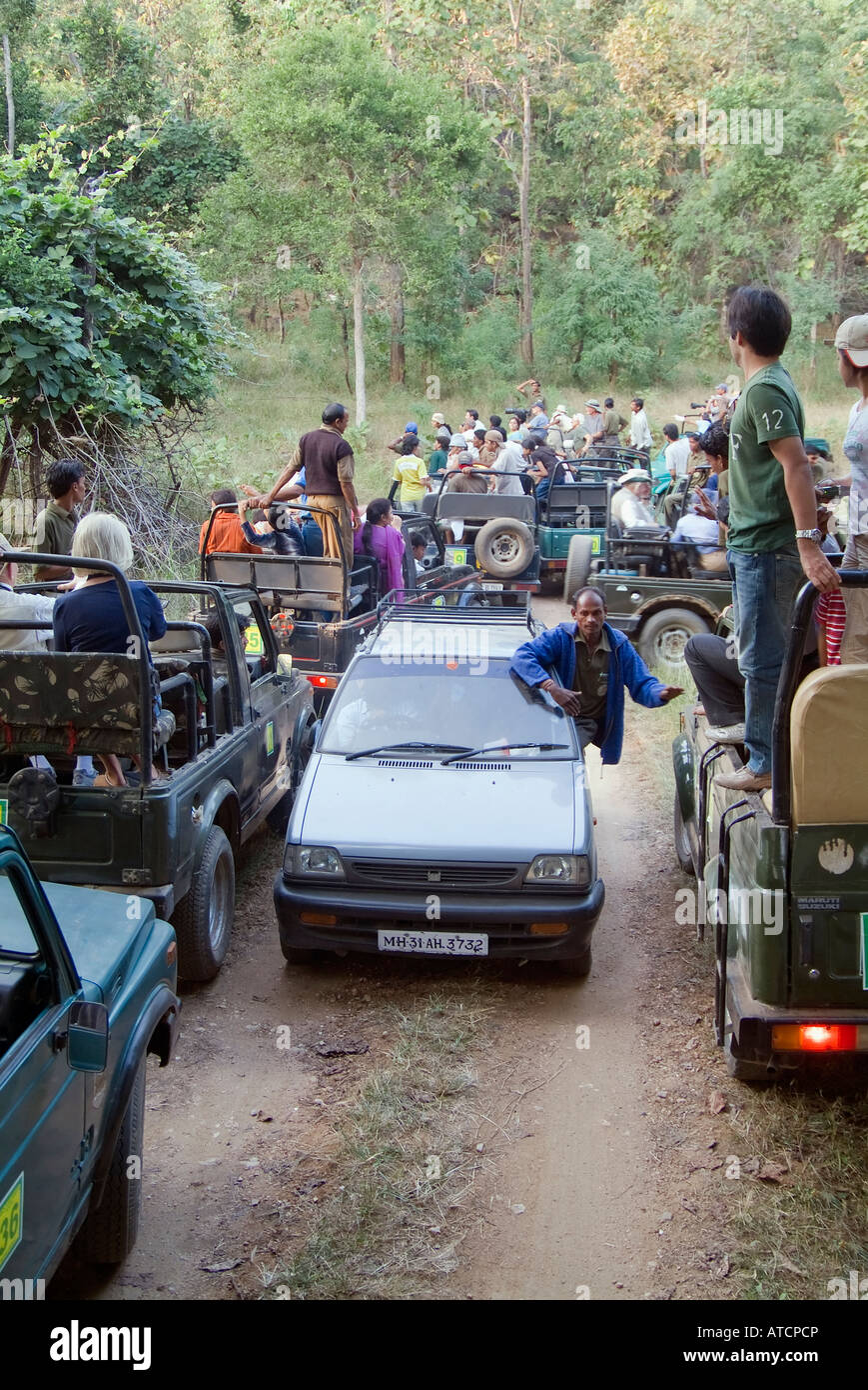 Indian People doing wildlife viewing in Pench National Park Stock Photo ...