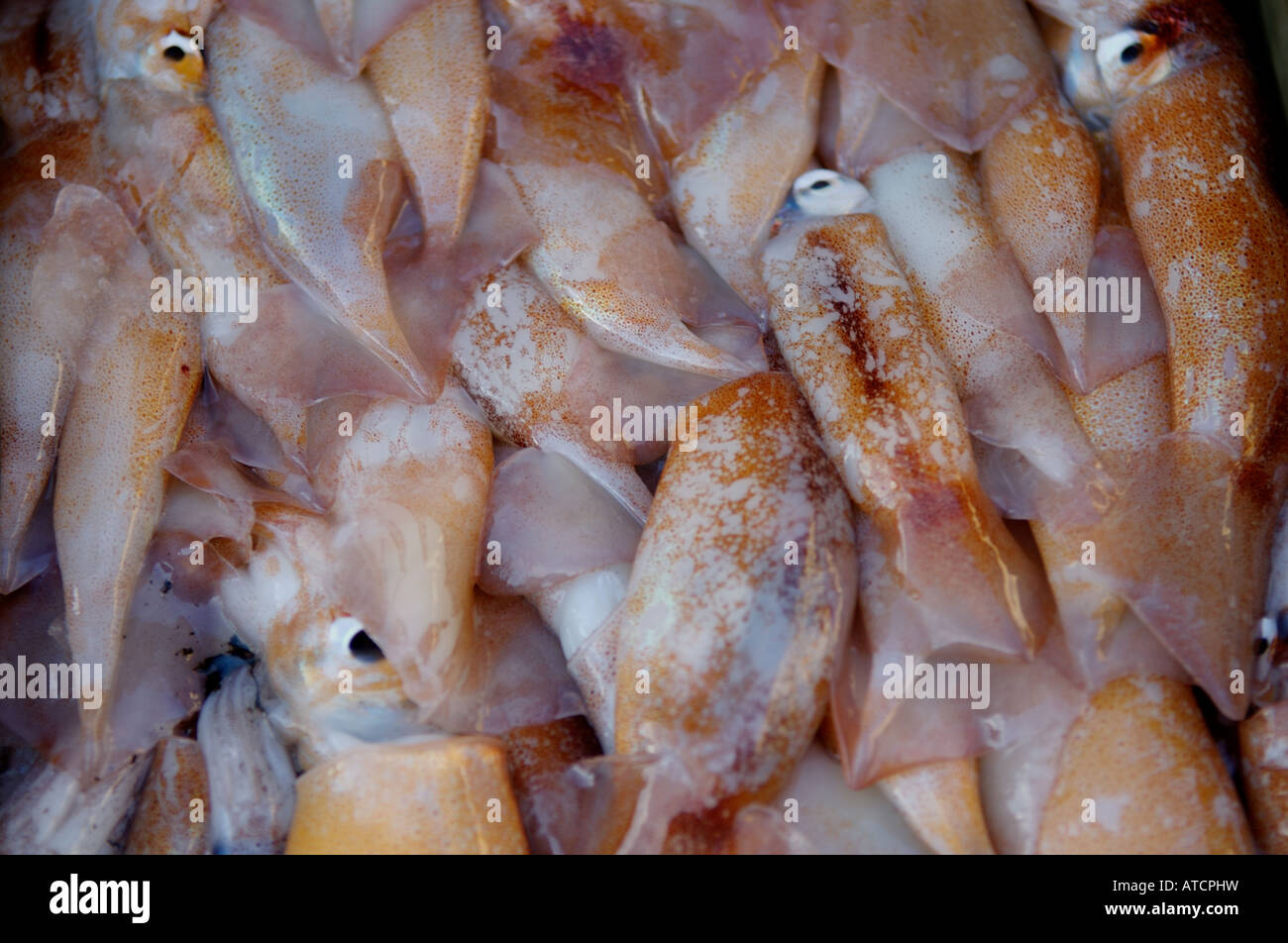 fish market split Stock Photo - Alamy