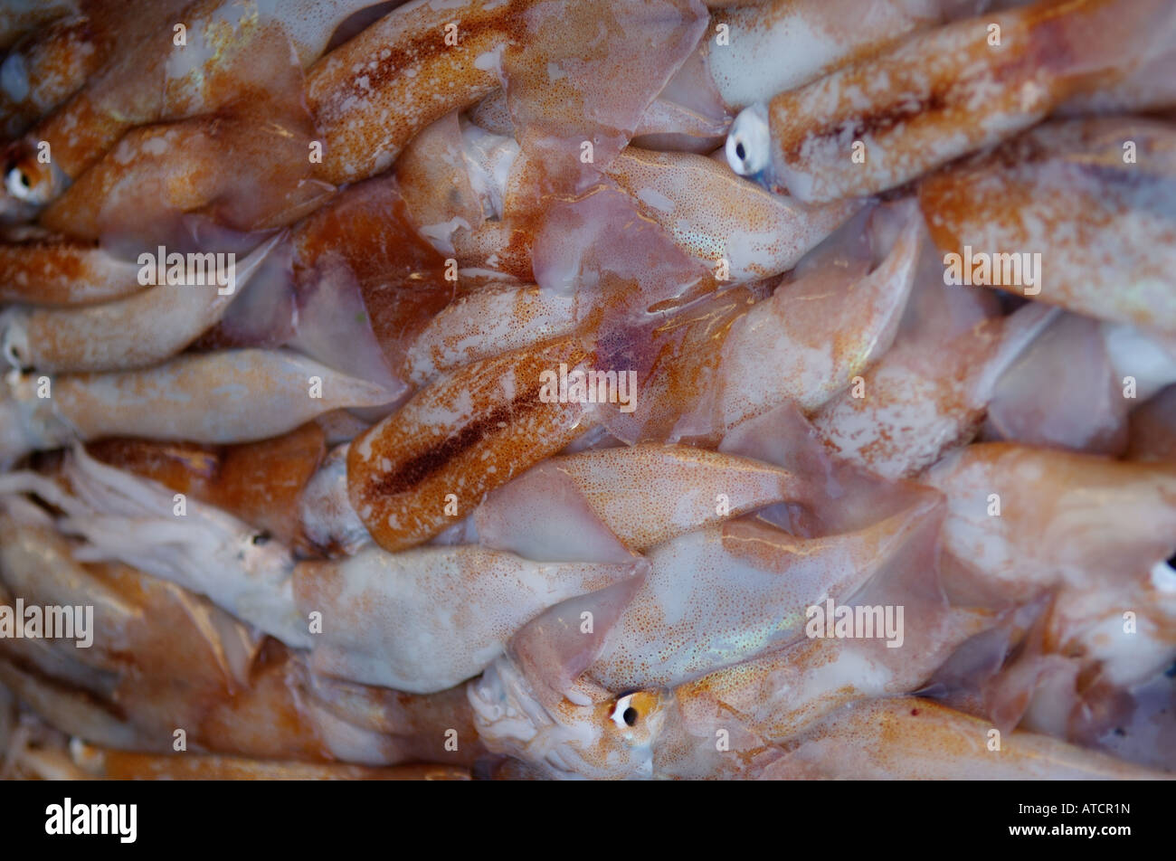 fish market split Stock Photo - Alamy