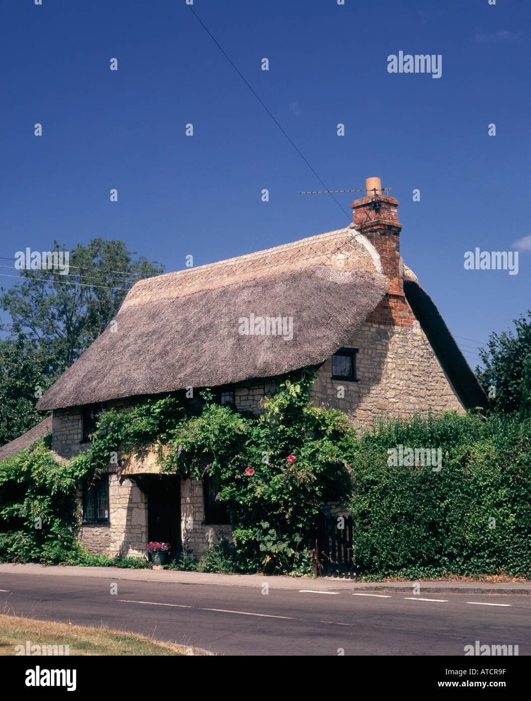Thatched stone built cottage in Dorset Stock Photo - Alamy