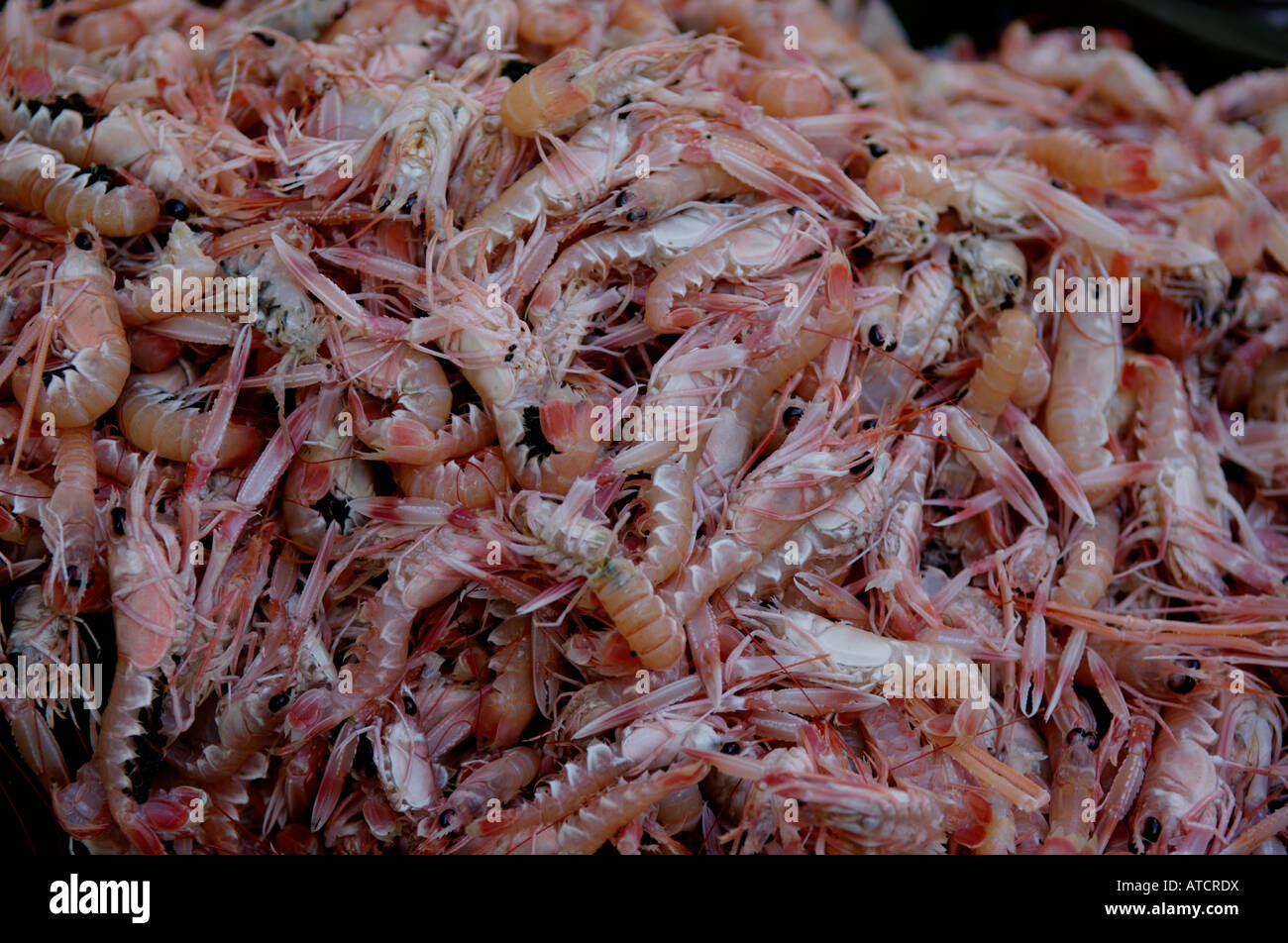 fish market split Stock Photo - Alamy