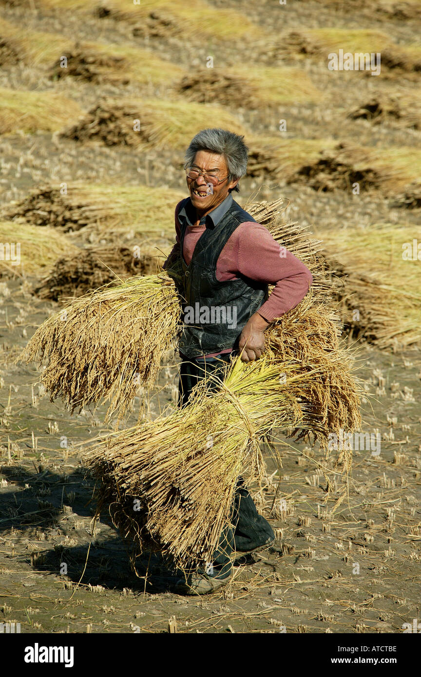 Work till you drop Stock Photo - Alamy