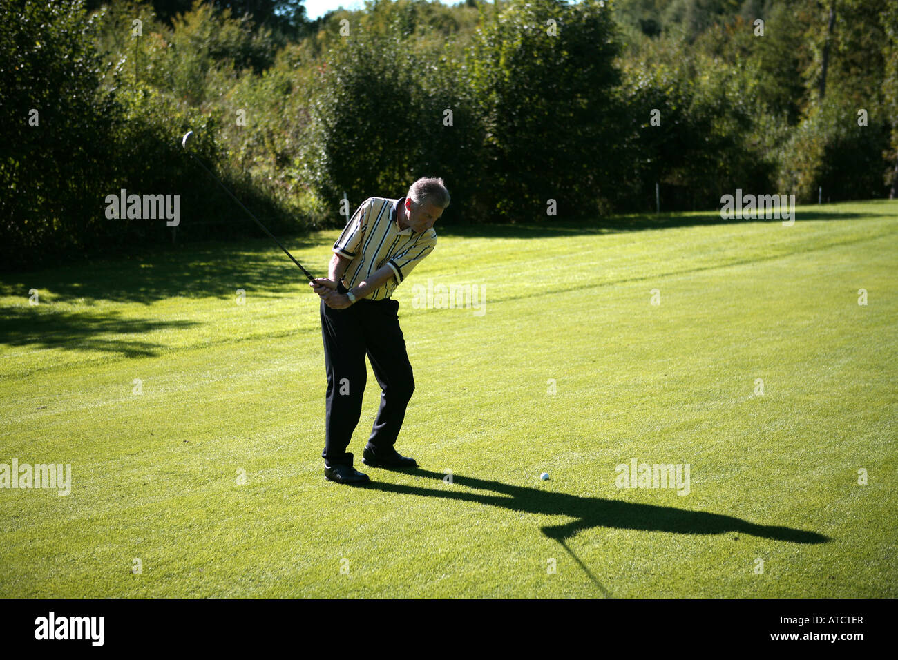 older man playing golf Stock Photo - Alamy
