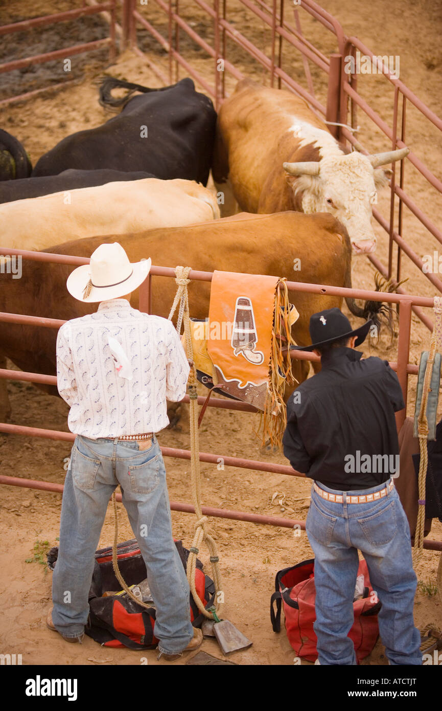 young riders prepare for the Bull Riding event All Indian Rodeo Gallup ...