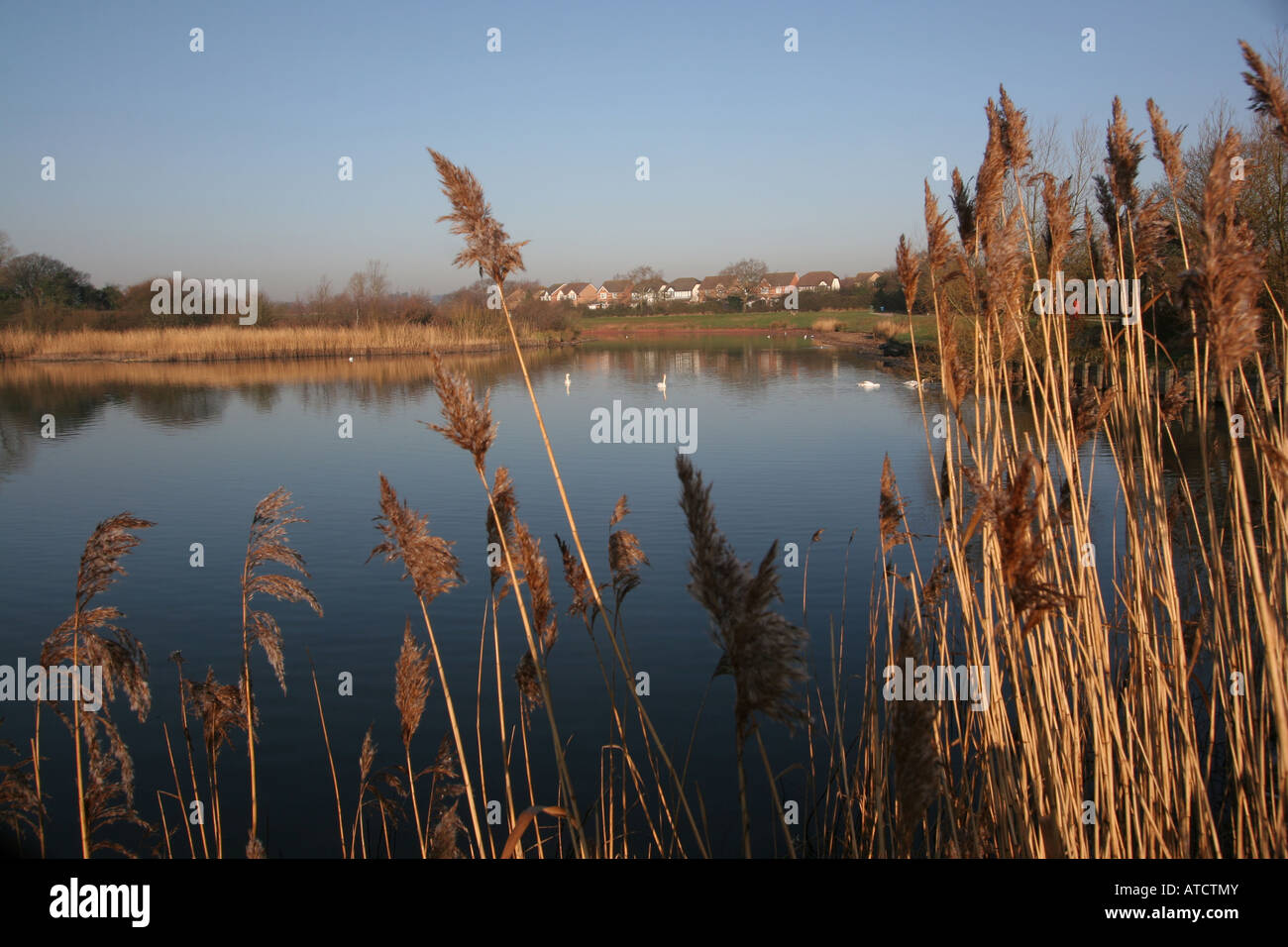 The hendre hi-res stock photography and images - Alamy
