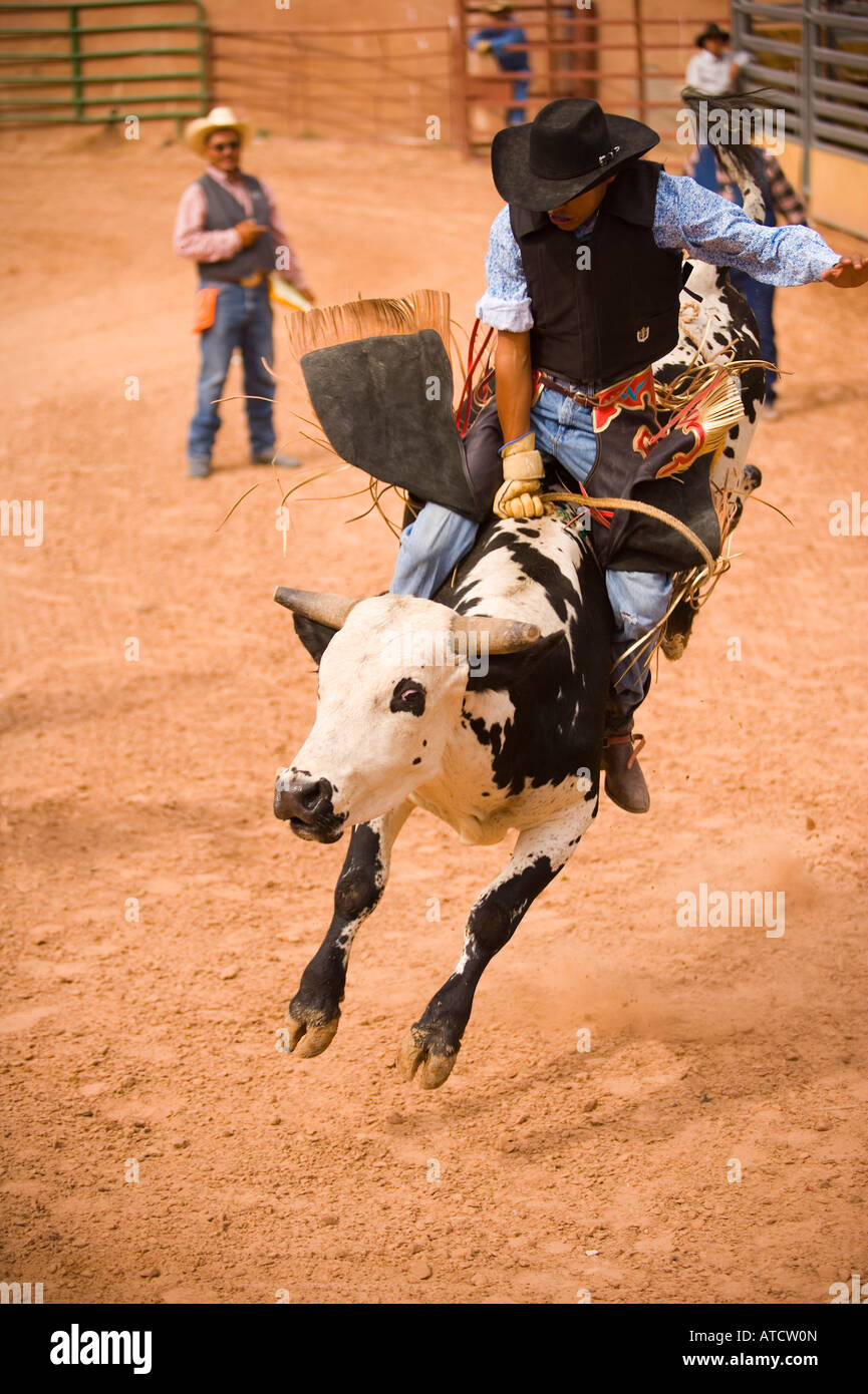 young riders compete in the Bull Riding event All Indian Rodeo Gallup ...