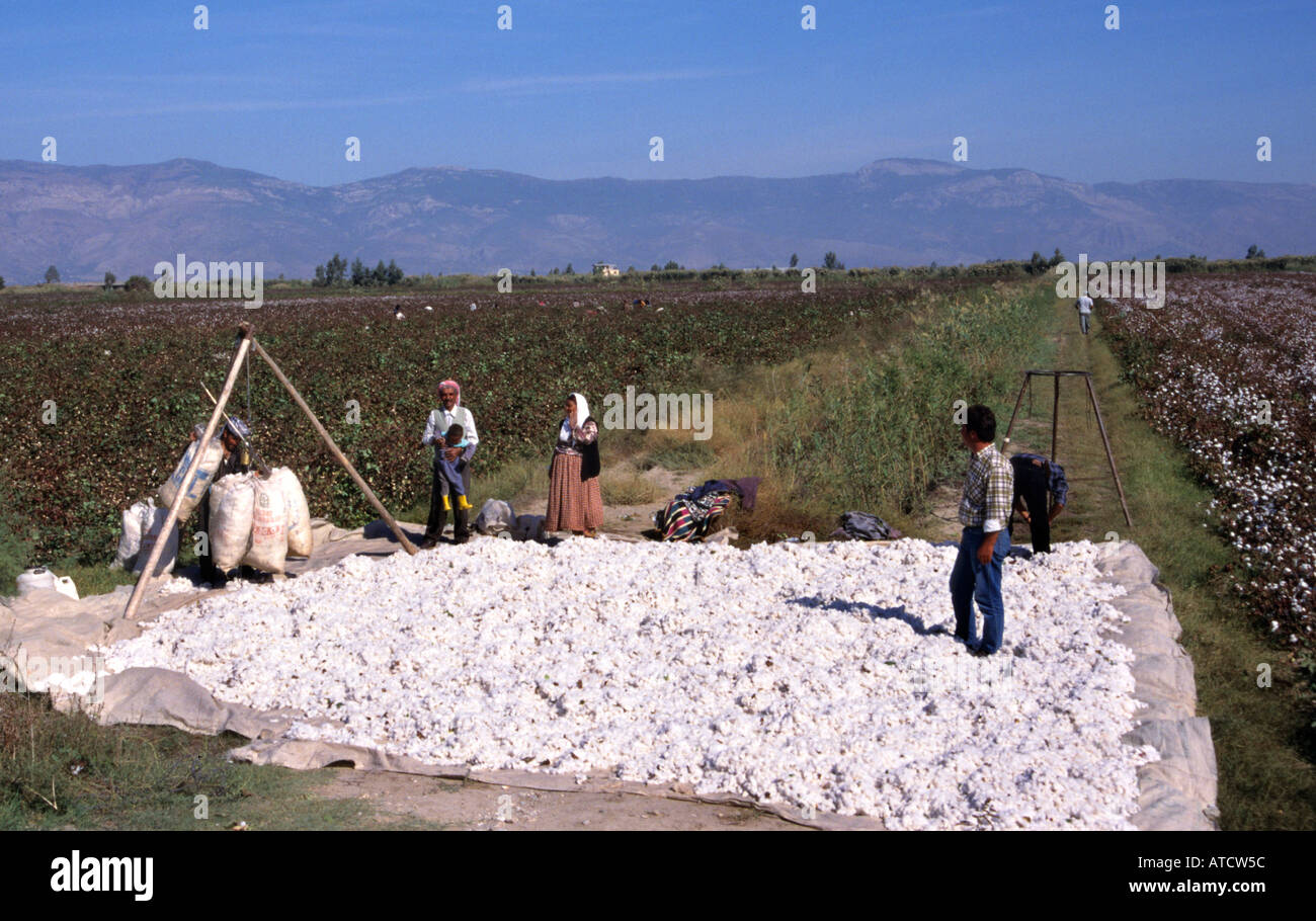 Turkey country farming hi-res stock photography and images - Alamy