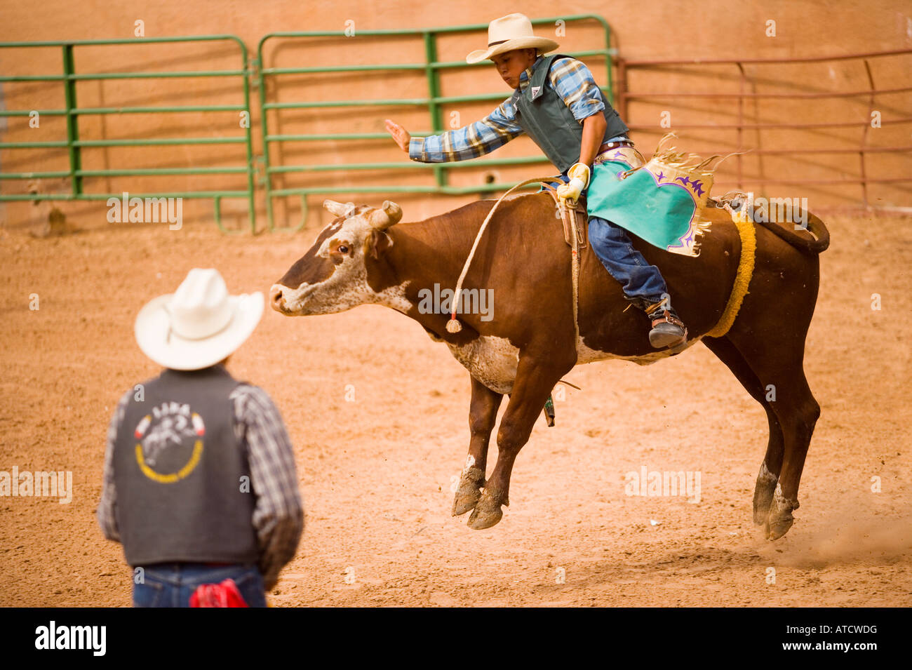 young riders compete in the Bull Riding event All Indian Rodeo Gallup ...